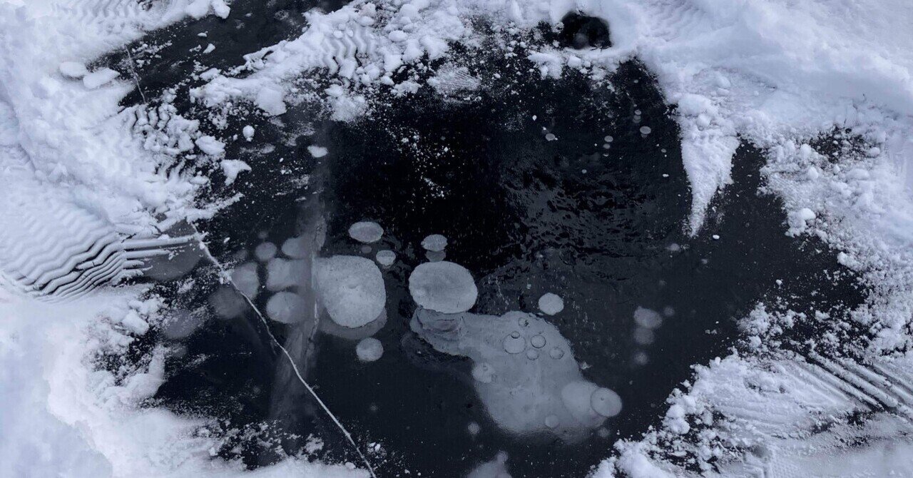 1月のあれやこれや。｜Yoshie