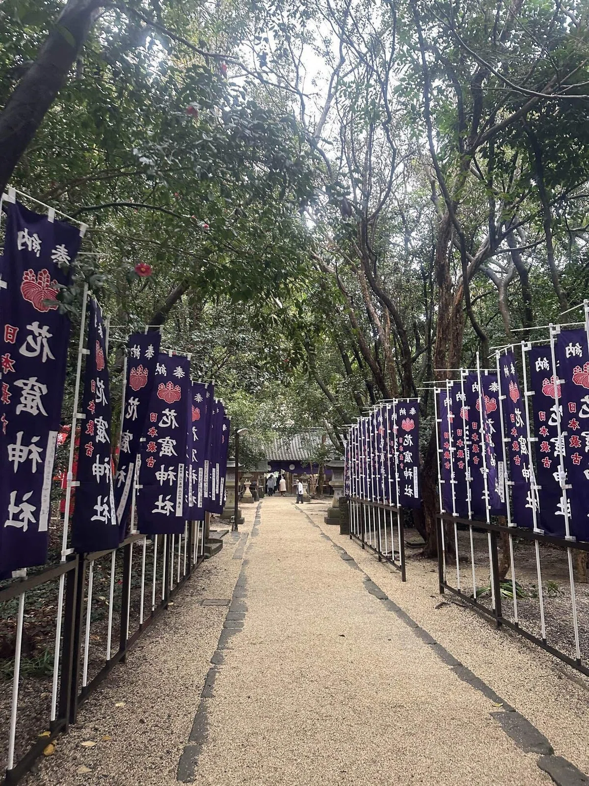 熊野古道伊勢路番外編〜花の窟神社例大祭〜｜CoYou