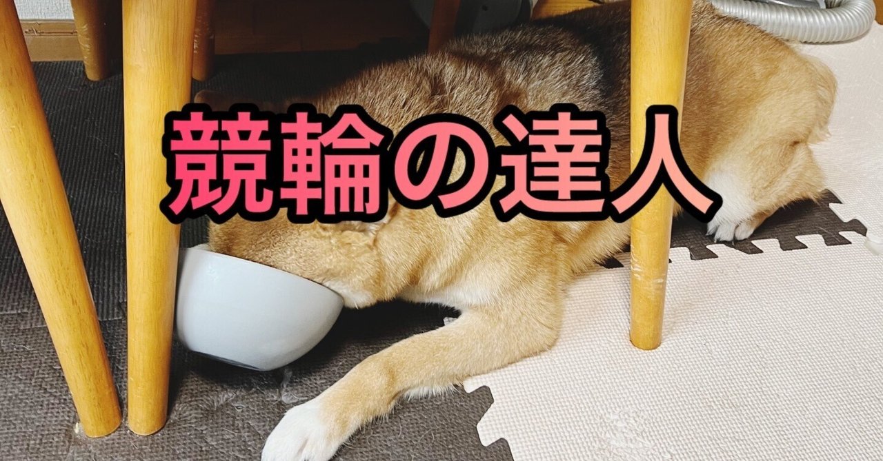 川崎競輪 9R 10R 11R 12R 予想！！初日特選を制するのは？？｜競輪の達人