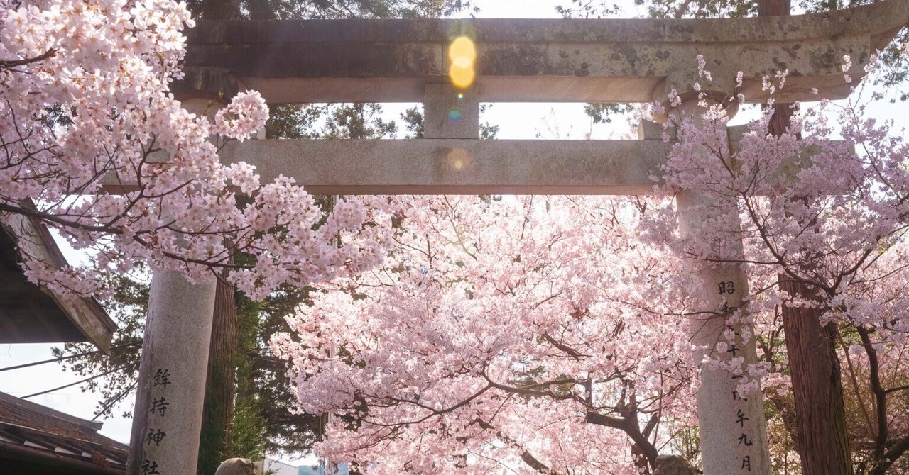 カメラ小僧が行って良かった桜スポット🌸その1｜ichi_graphy