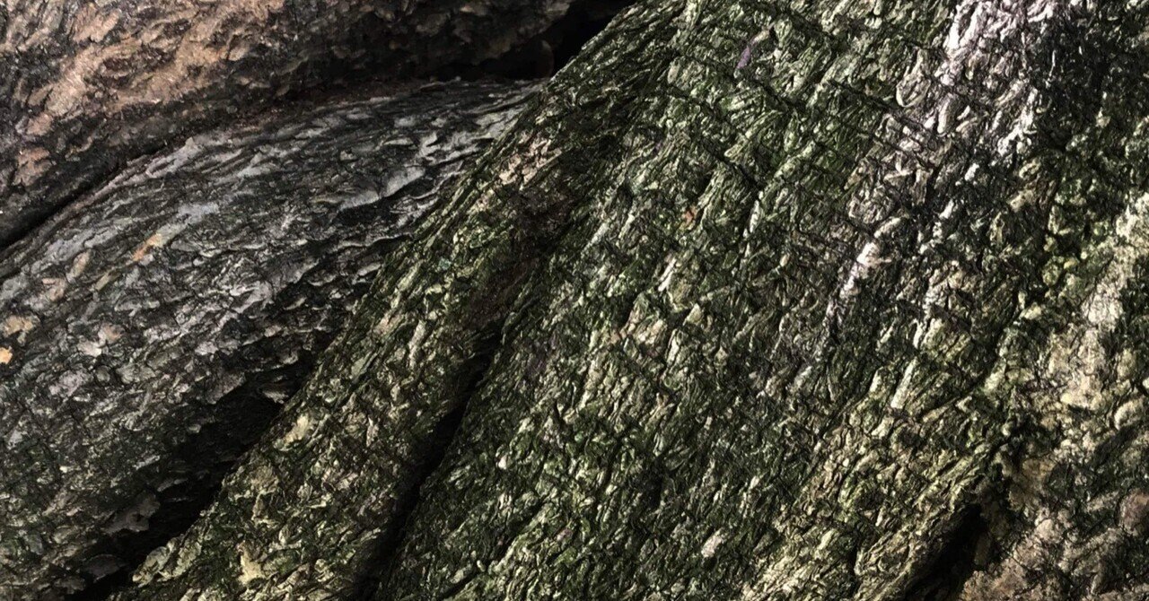 うねり【詩】｜砂噛匙拾（すなかみさじひろう）