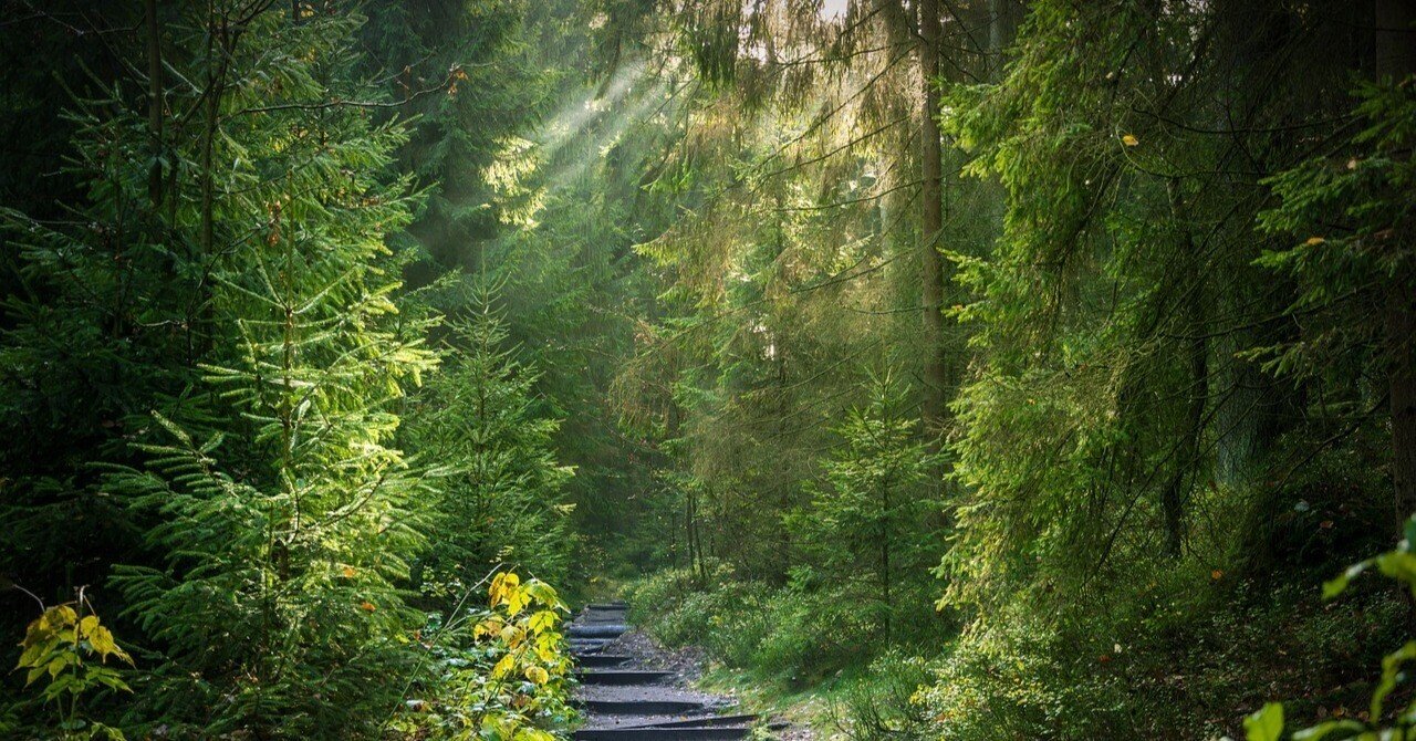 「友人との親睦は人生から切り捨てた」FIRE作家・森博嗣｜Sasami