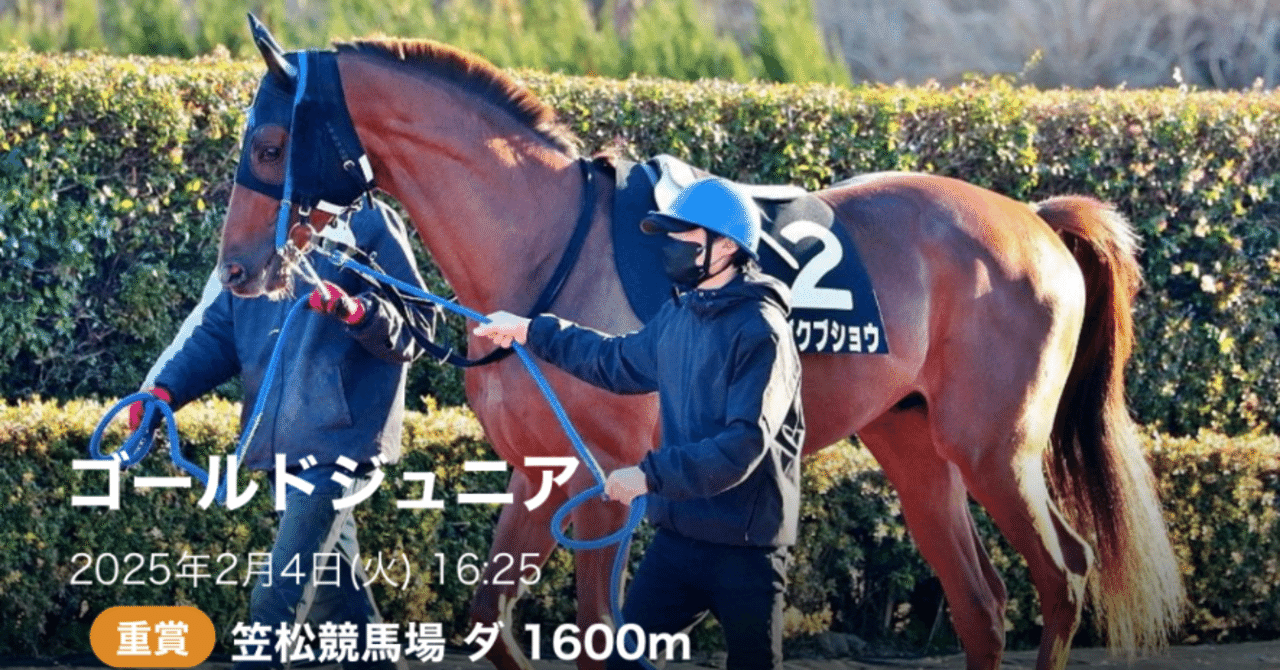 2/4 笠松10r ゴールドジュニア （自信度SSS）｜複勝男