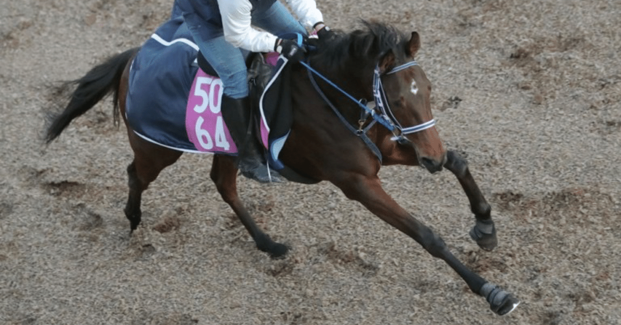 2025きさらぎ賞(登録段階)血統覚書など｜わさび⚯˶