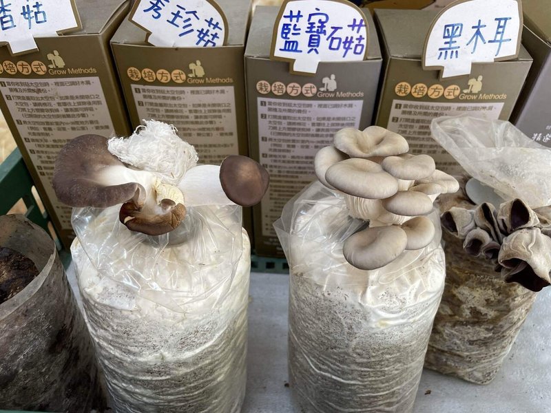 Naoko／日台交流コーディネーター｜note