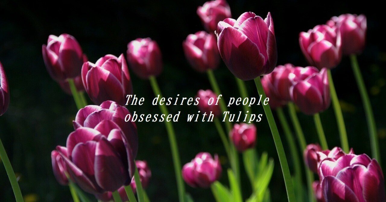 チューリップとアサガオの熱病｜Enma Note