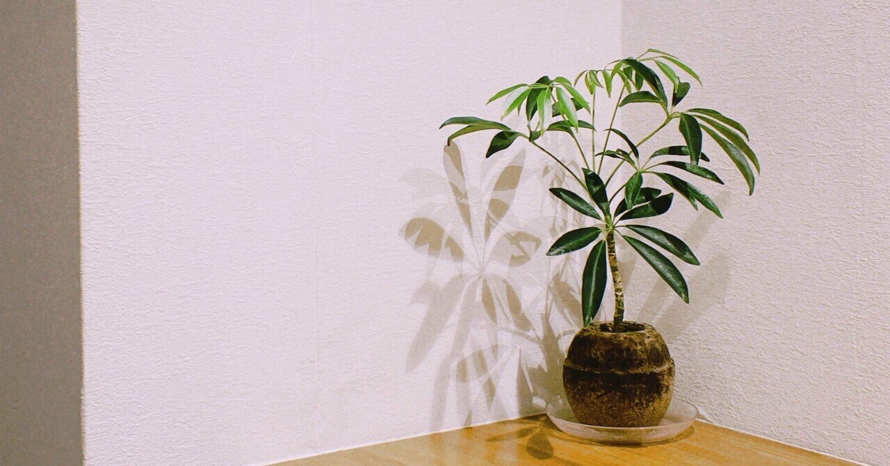 心の余白ってどう作る？｜minolu_miki