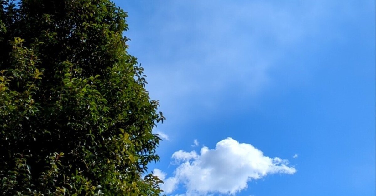 詩ことばの森（297）「やせ我慢」｜UNWIND&KOMOREBI