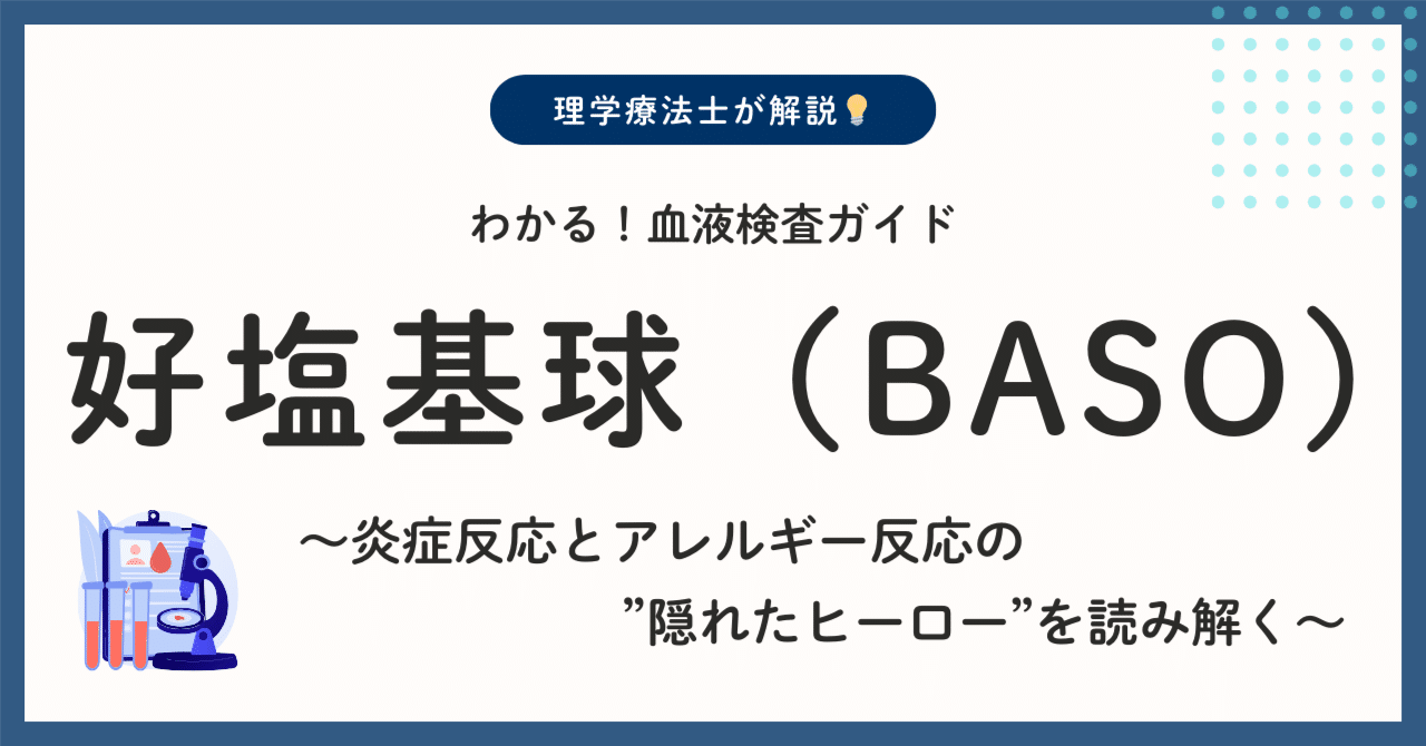 わかる！血液検査ガイド：好塩基球（BASO）の数値徹底解説｜はじめてのカルテ
