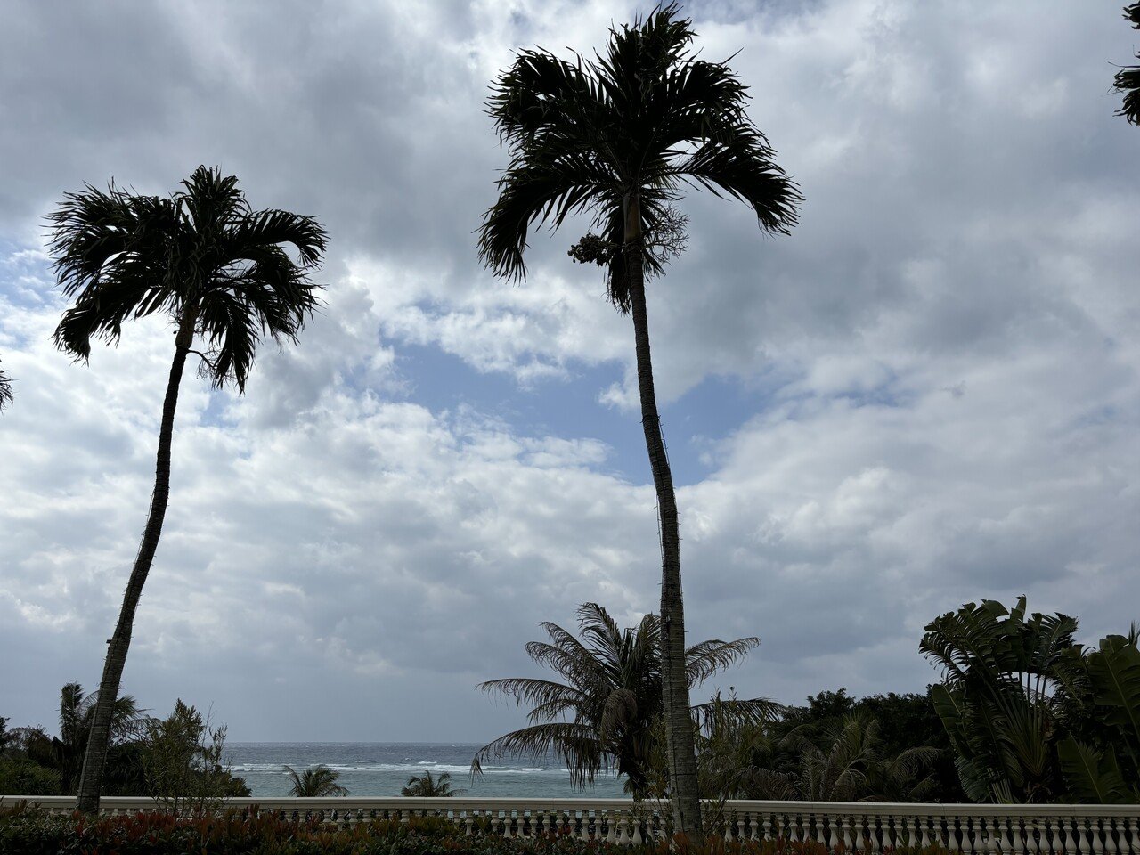 自分の状態が良いと、すれ違いの人とふと目があった時に、にこやかな反応をされることがある。今、私に笑顔を向けた？いつでも笑顔でいるのは正直得意ではないのだけど、もしかしたらご機嫌さが表に出ていた ...