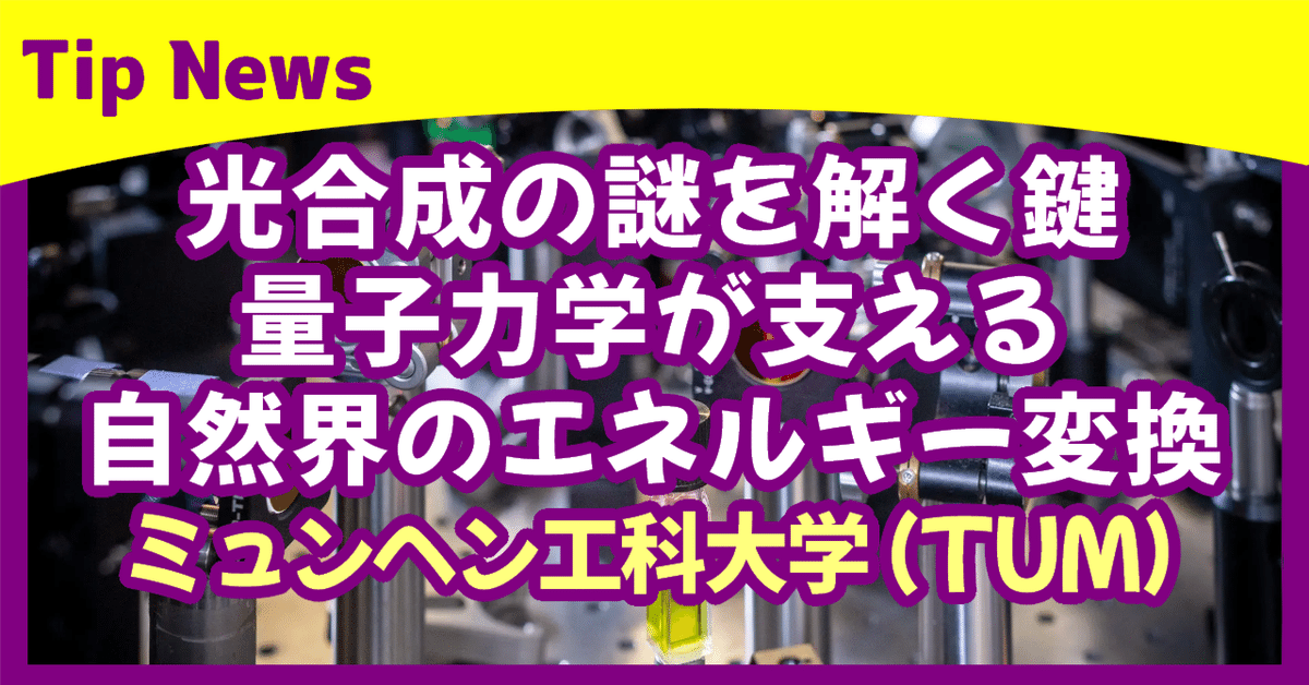 光合成の謎を解く鍵、量子力学が支える自然界のエネルギー変換 ミュンヘン工科大学 (TUM)｜Tip News