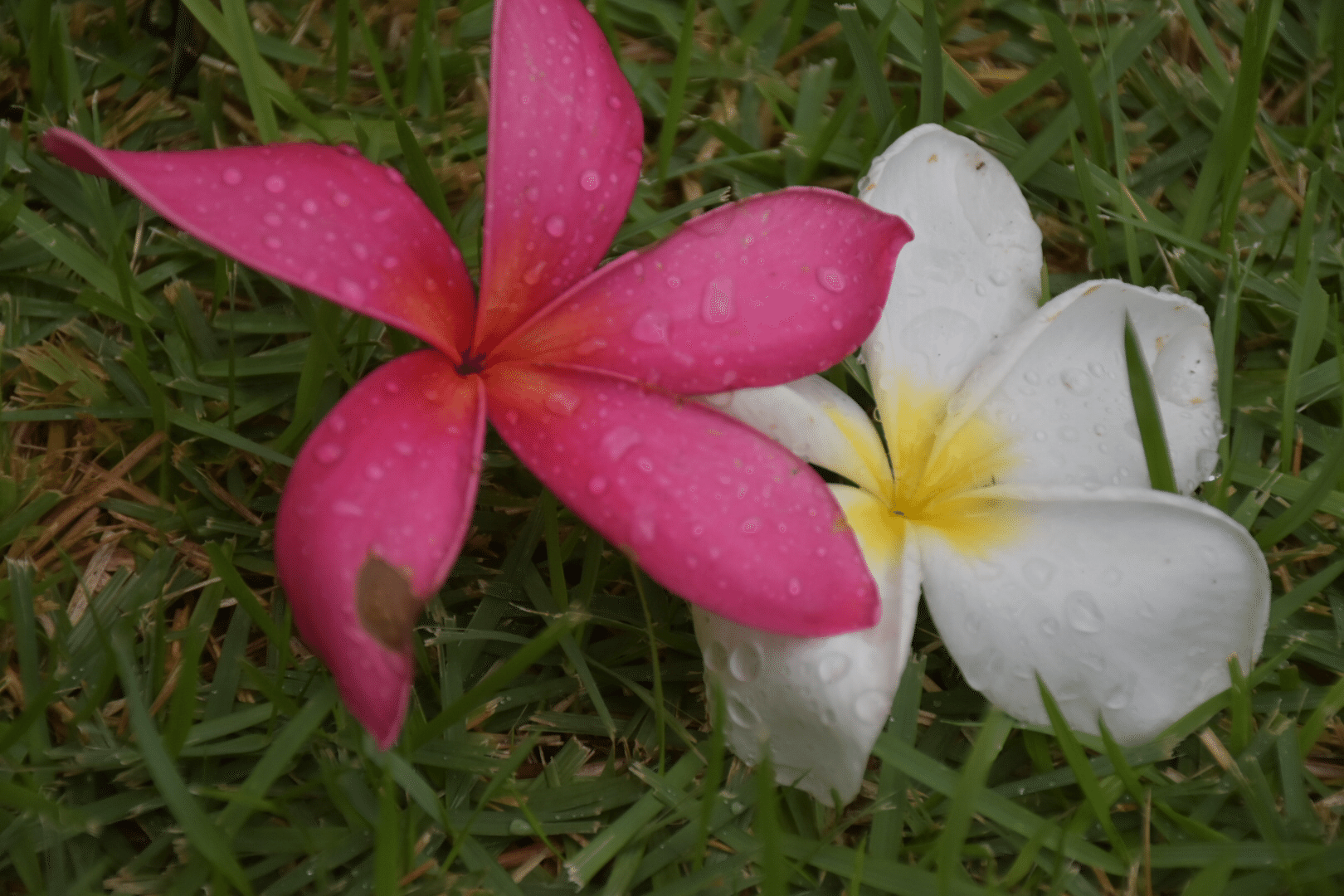 Koichiro Nomura｜note