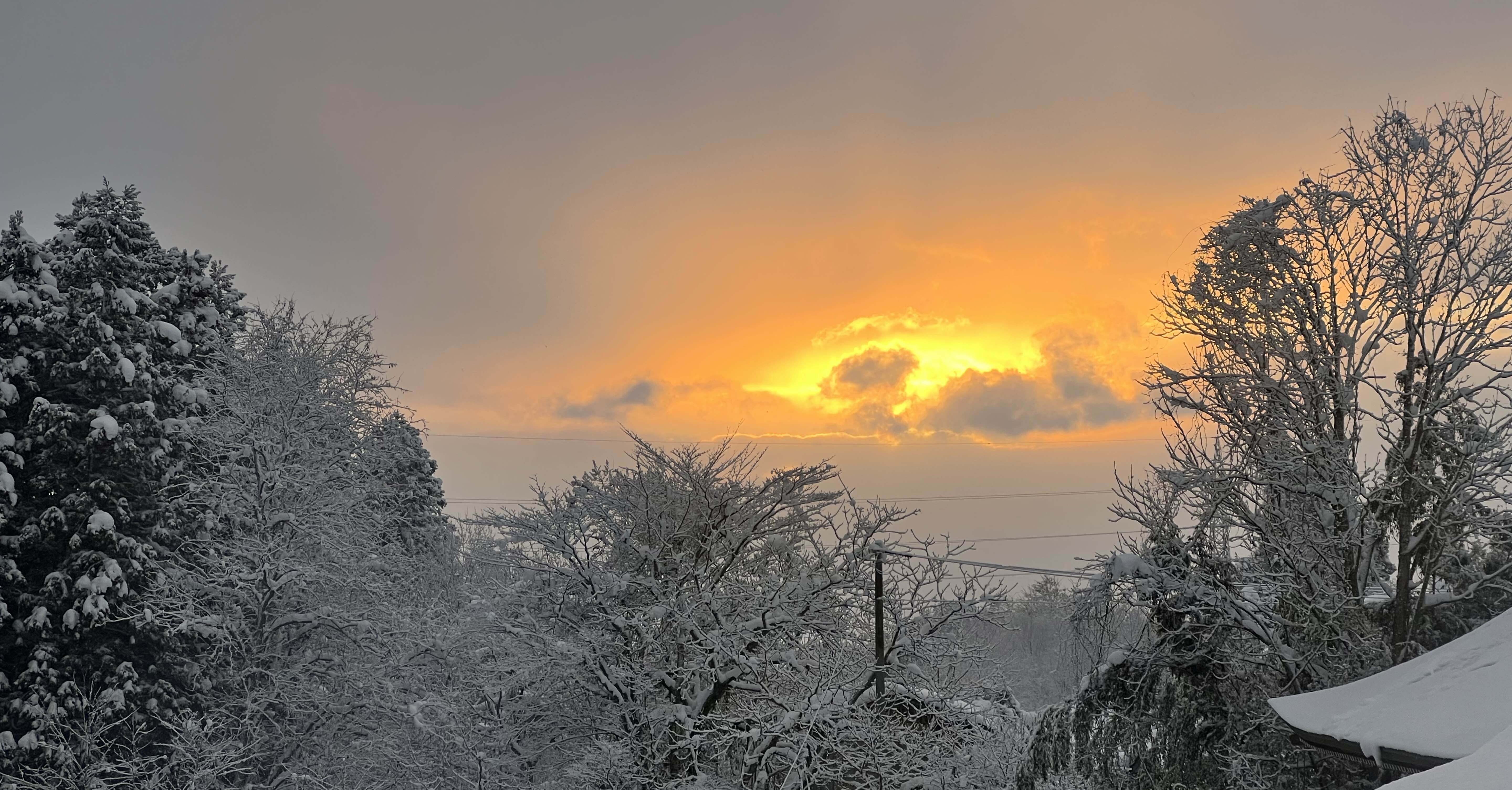 看護師としての自分｜kanyuka＠適応障害アラフォー看護師｜note