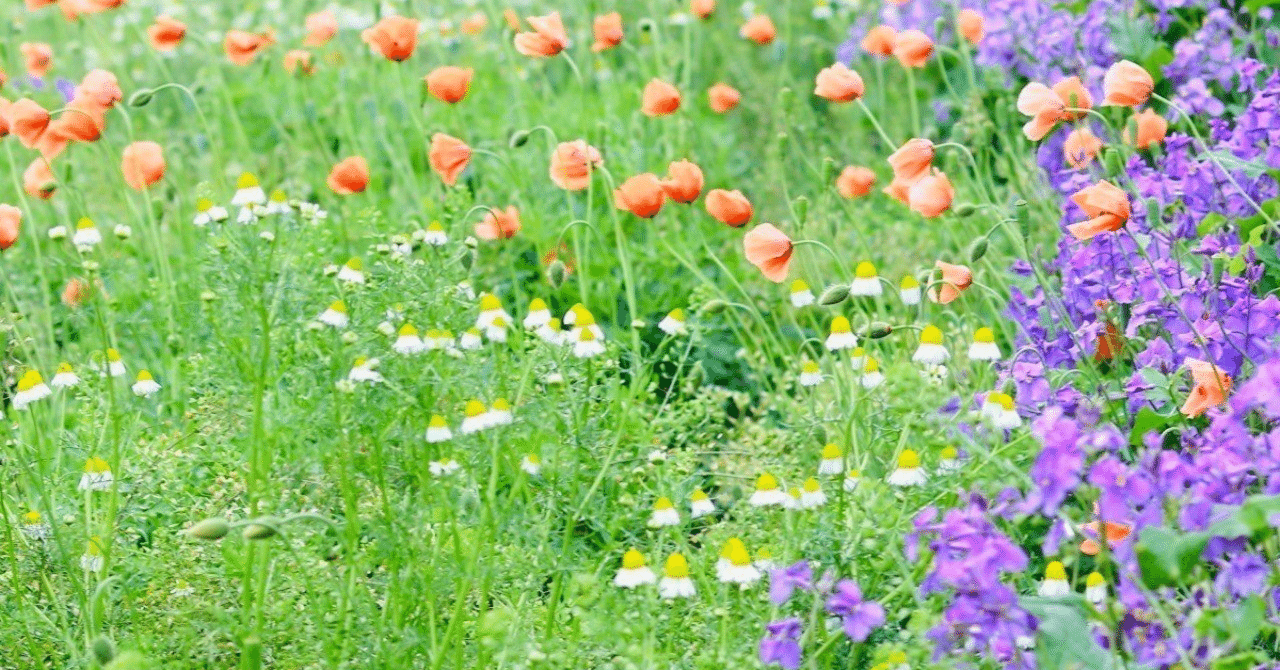 街のすみっこ｜sachiko