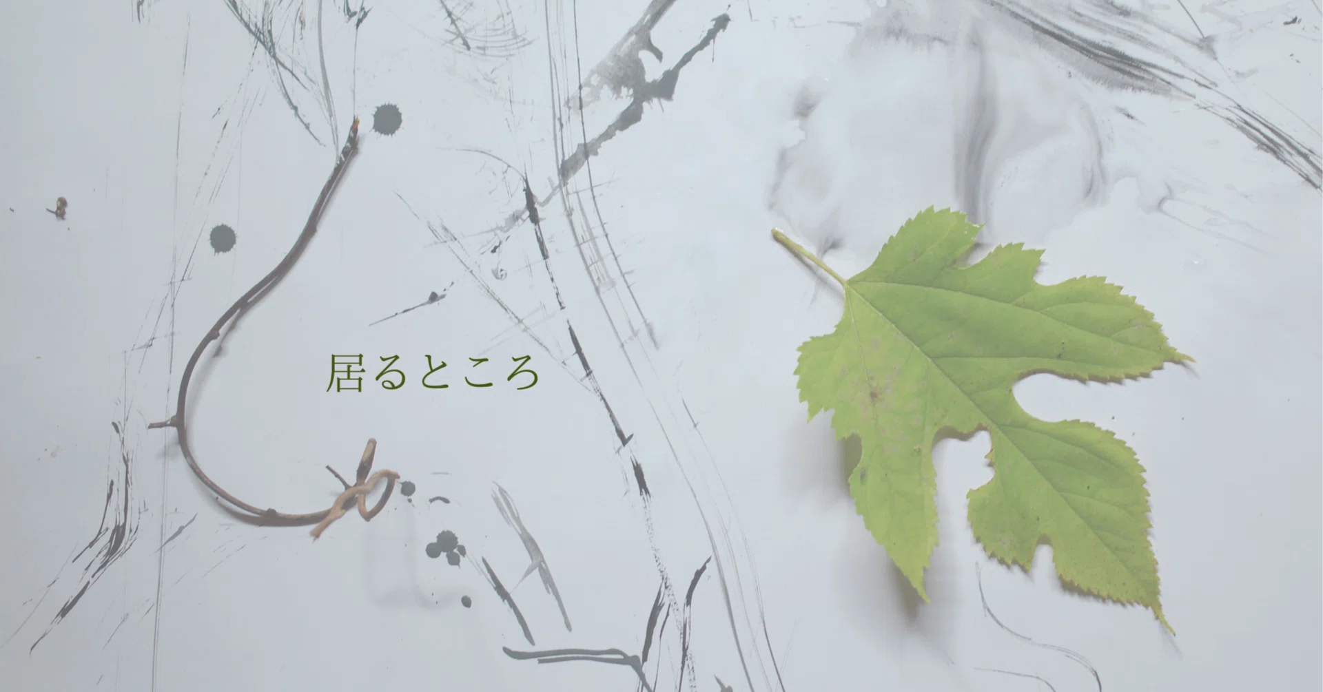 Lizea -リツェア-｜note