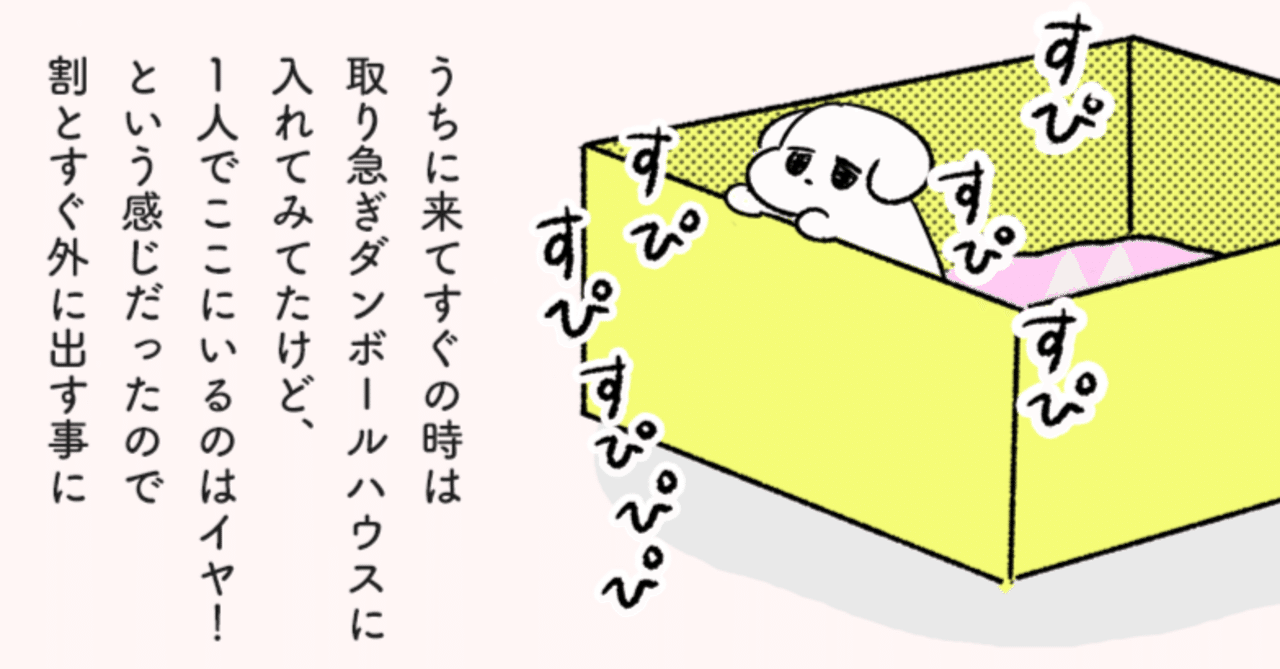 「いぬとのこと」#33 お部屋のこと｜YAYO/NU