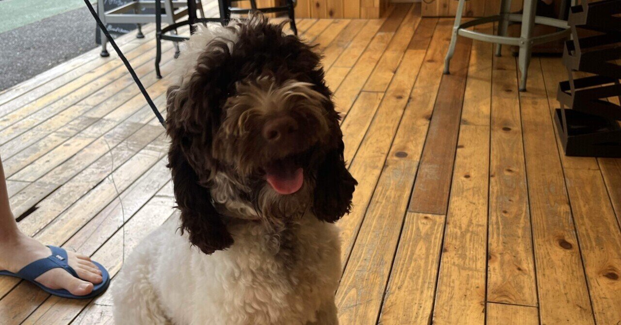 こんばんは｜ERI OHNO