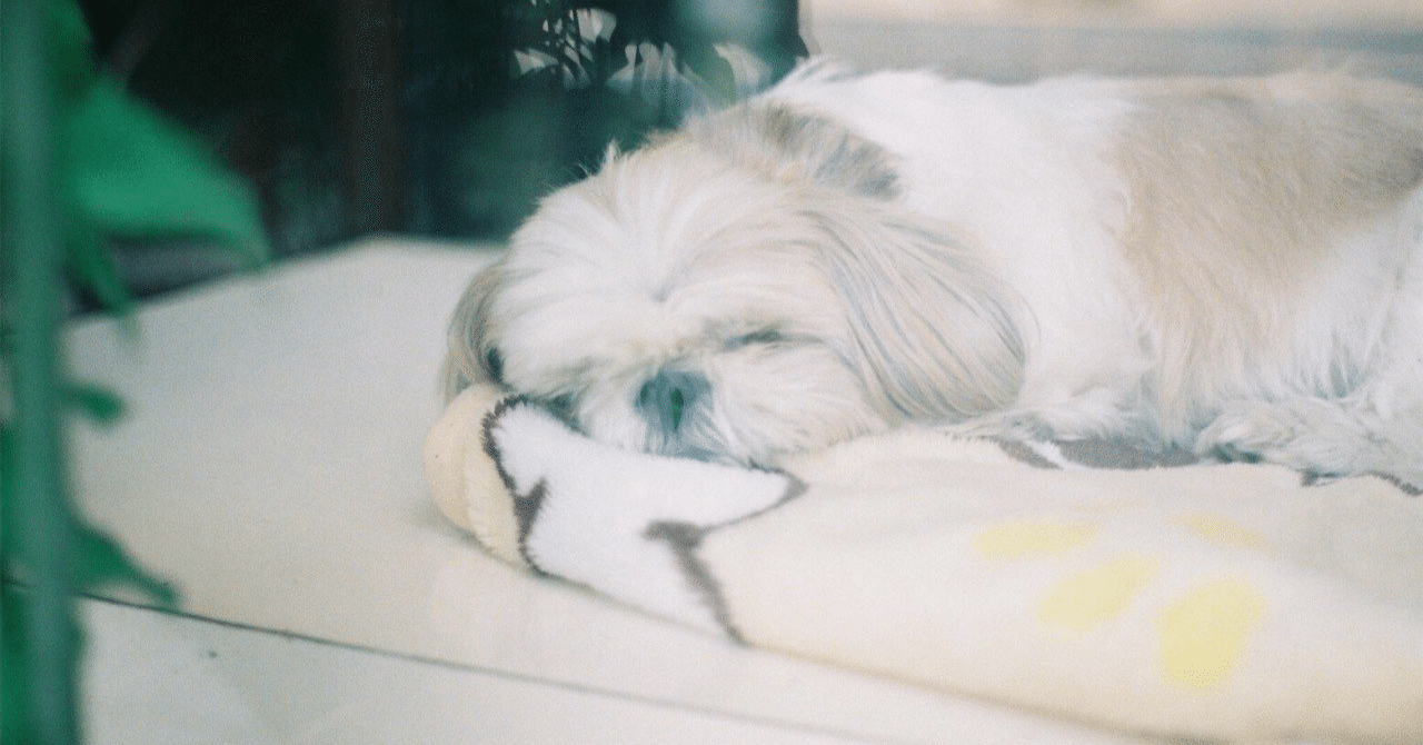 望む未来へ｜kyna miwako