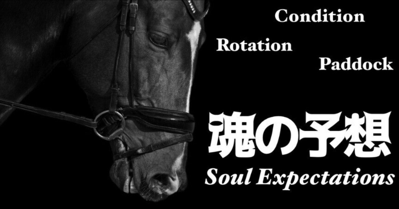 28土🔥勝負レース🔥【魂の勝負r】今回も自信あるrで決める。【メイン勝負r】メインrで勝負。【単複勝負r①②】【複勝勝負r】どちらも