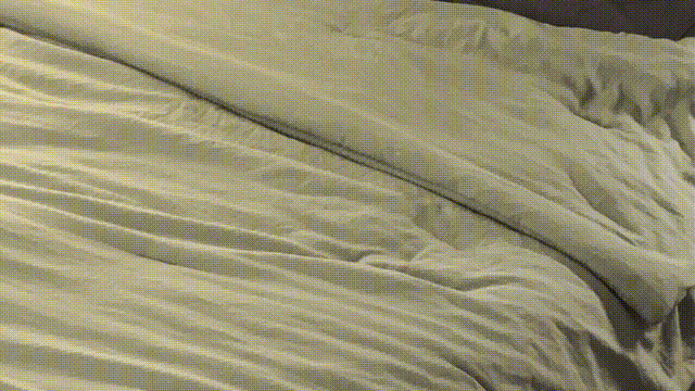 「Standable: Full Body Estimation」 の初期設定｜hiro_vr