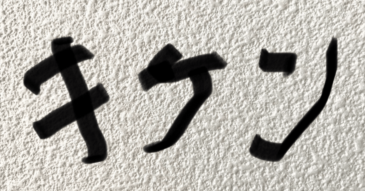 【インストラクターが教える】キャンプ場での危険生物と対処法｜Sandy Kazu
