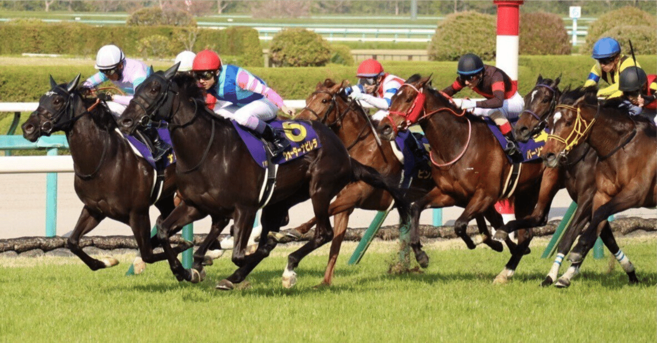 小倉競馬5R｜競馬予想🐎ゆーま フォロバ100