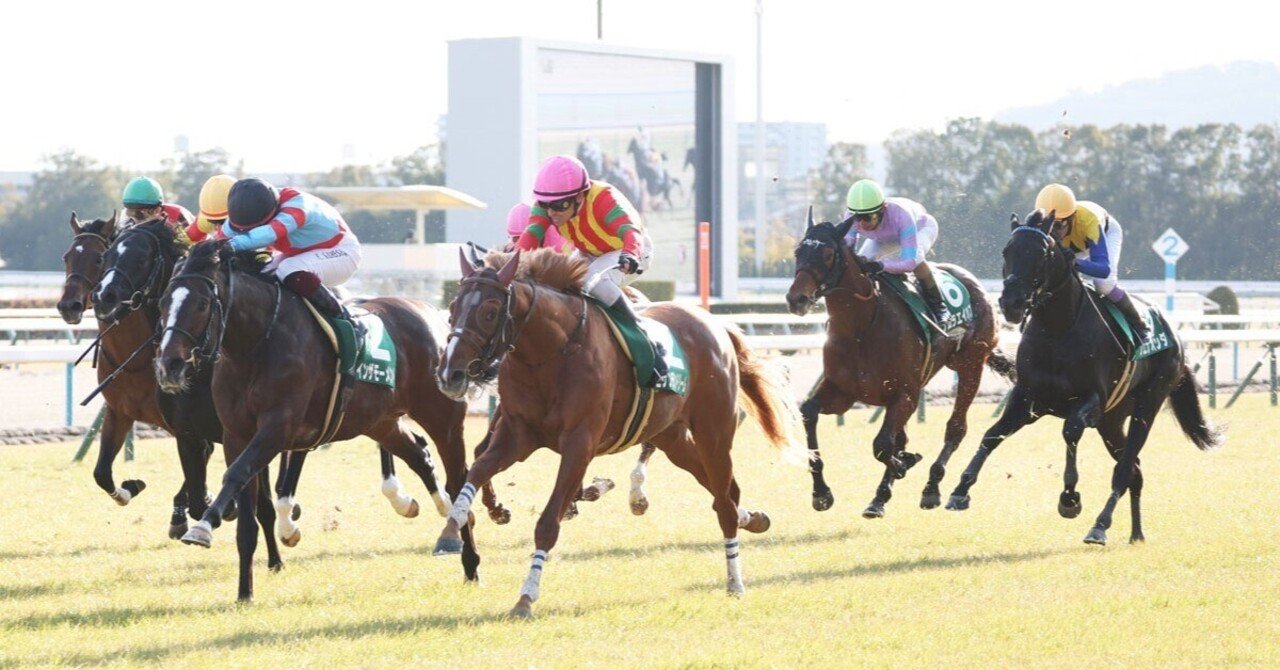 【関係者勝負馬】きさらぎ賞｜競馬裏の裏t