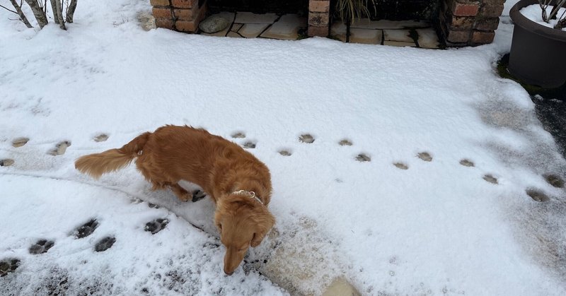 couleure Takahashi｜note