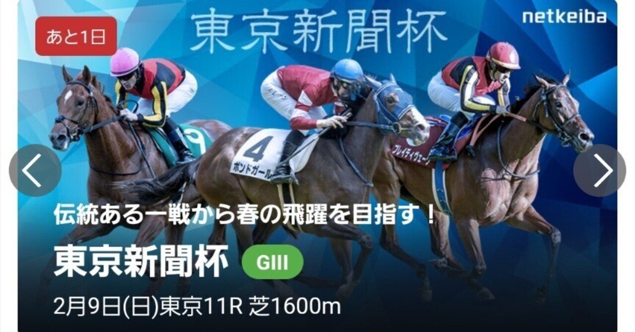 29日🔥勝負レース🔥【東京新聞杯】【きさらぎ賞】重賞は俺様に任せろ。【魂の勝負r】1番自信あるrで勝負。【単複勝負r】【複勝勝負r