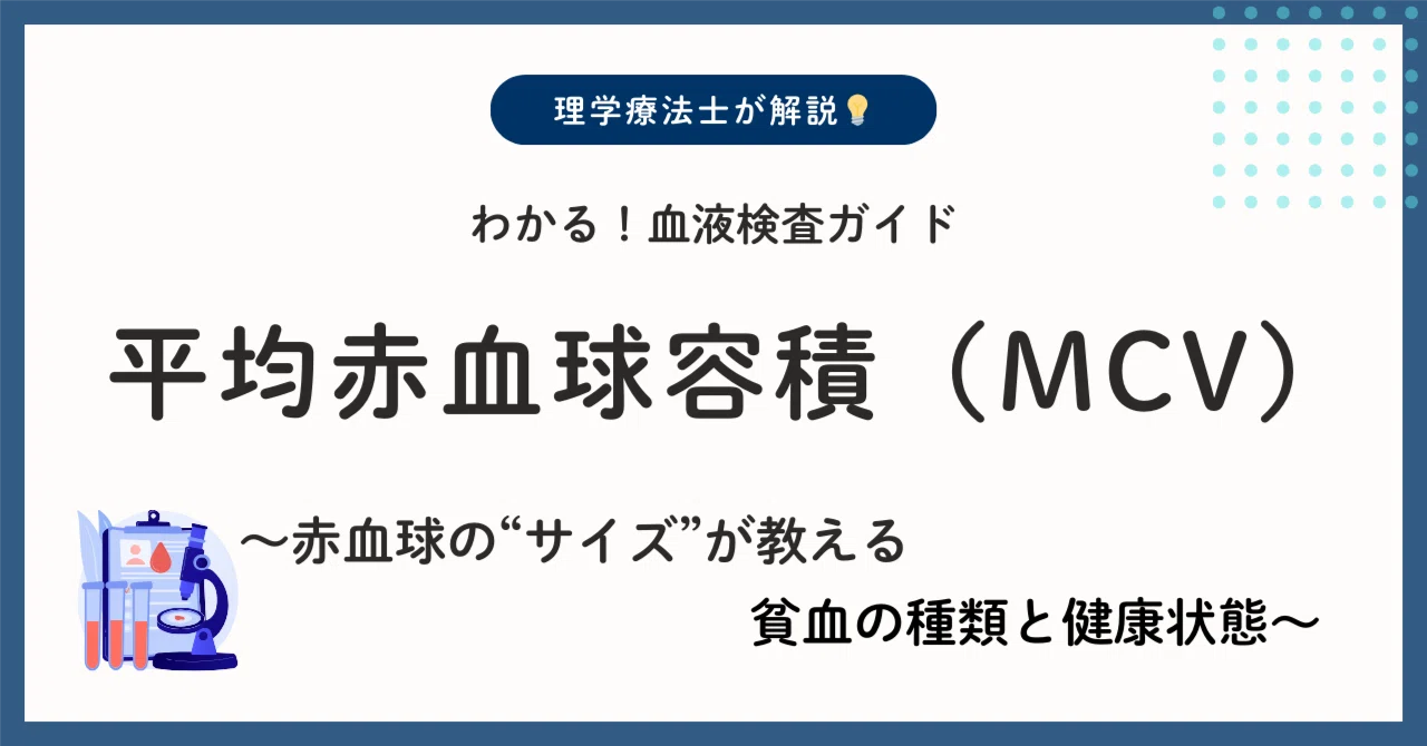 わかる！血液検査ガイド：平均赤血球容積（MCV）の数値徹底解説｜はじめてのカルテ