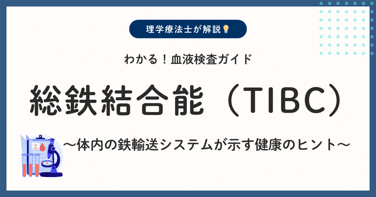 わかる！血液検査ガイド：総鉄結合能（TIBC）の数値徹底解説｜はじめてのカルテ