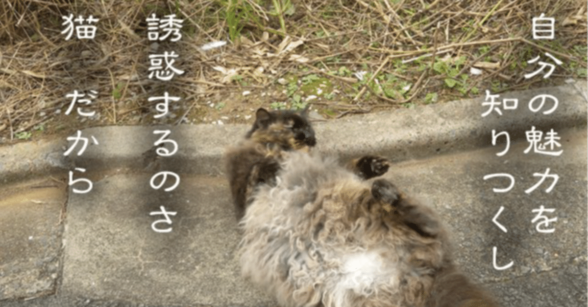 はじめまして。｜Calico @ ADHD×FP