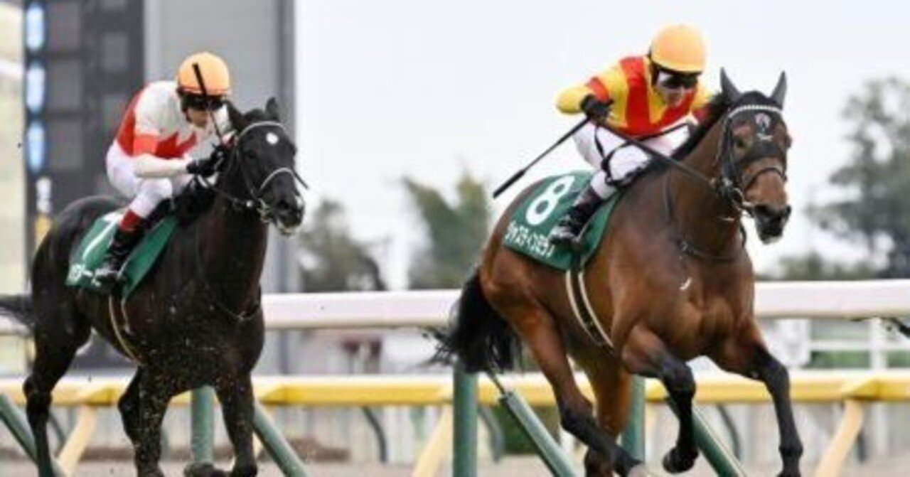 【有料レポート 競馬番組理論】共同通信杯 2025｜マヤノタバラの競馬道 ～競馬番組解読～