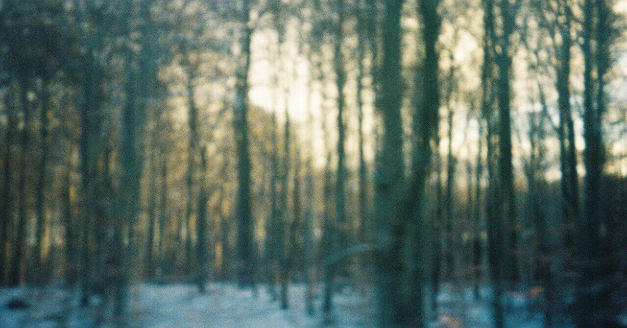 はじめまして｜maho