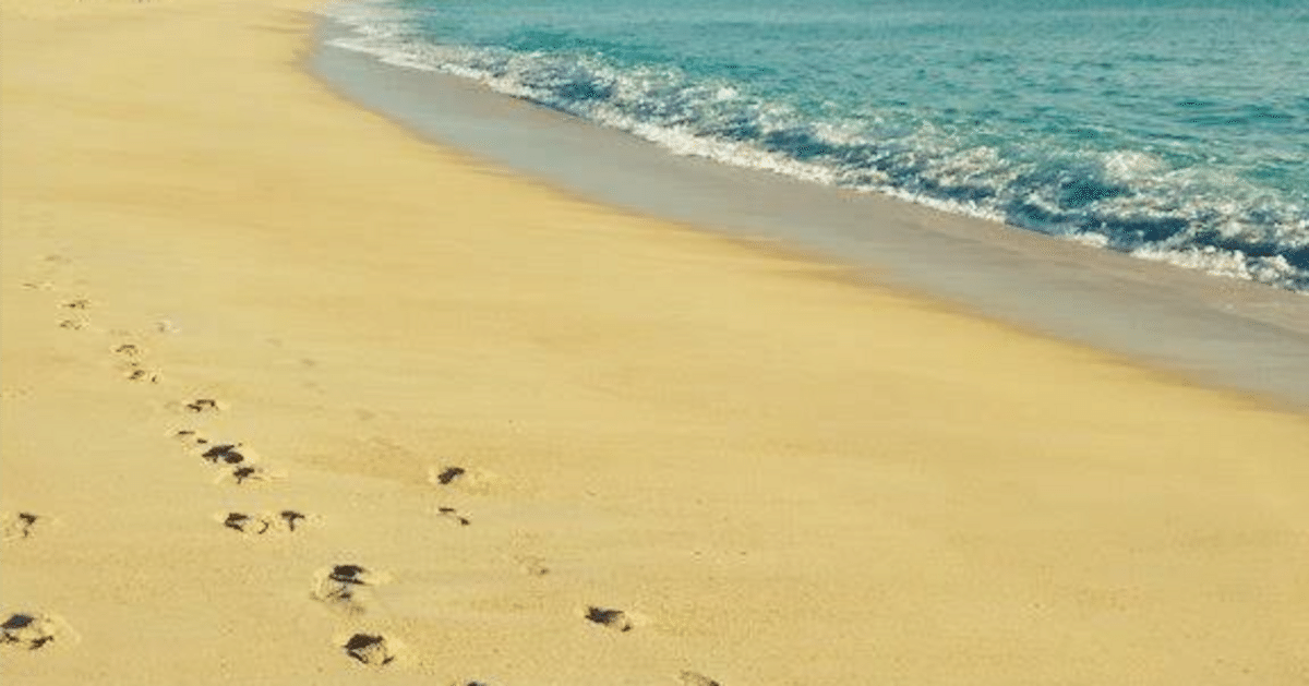 つれづれ日記｜mikan kitchen