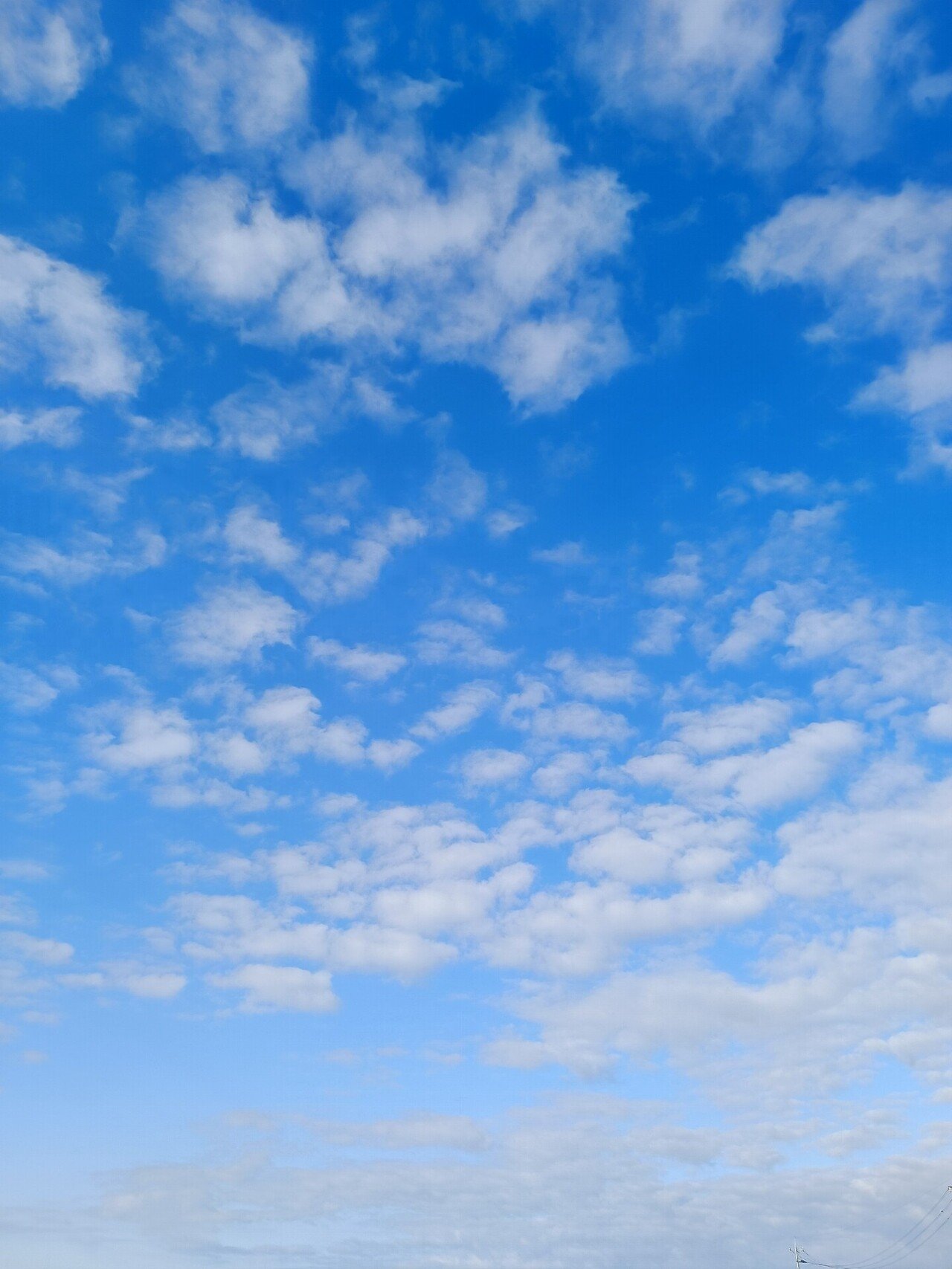 穏やかな1日｜sora_purecolor