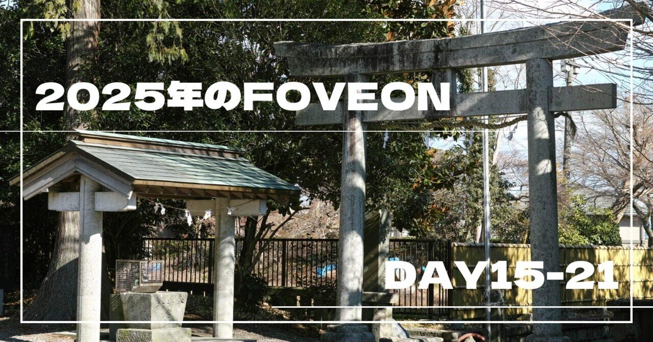 2025年のFoveon、Day15-21｜akane_k