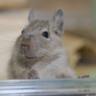 書きたいことだけが溜まって書く時間が取れない｜Shion_KBC