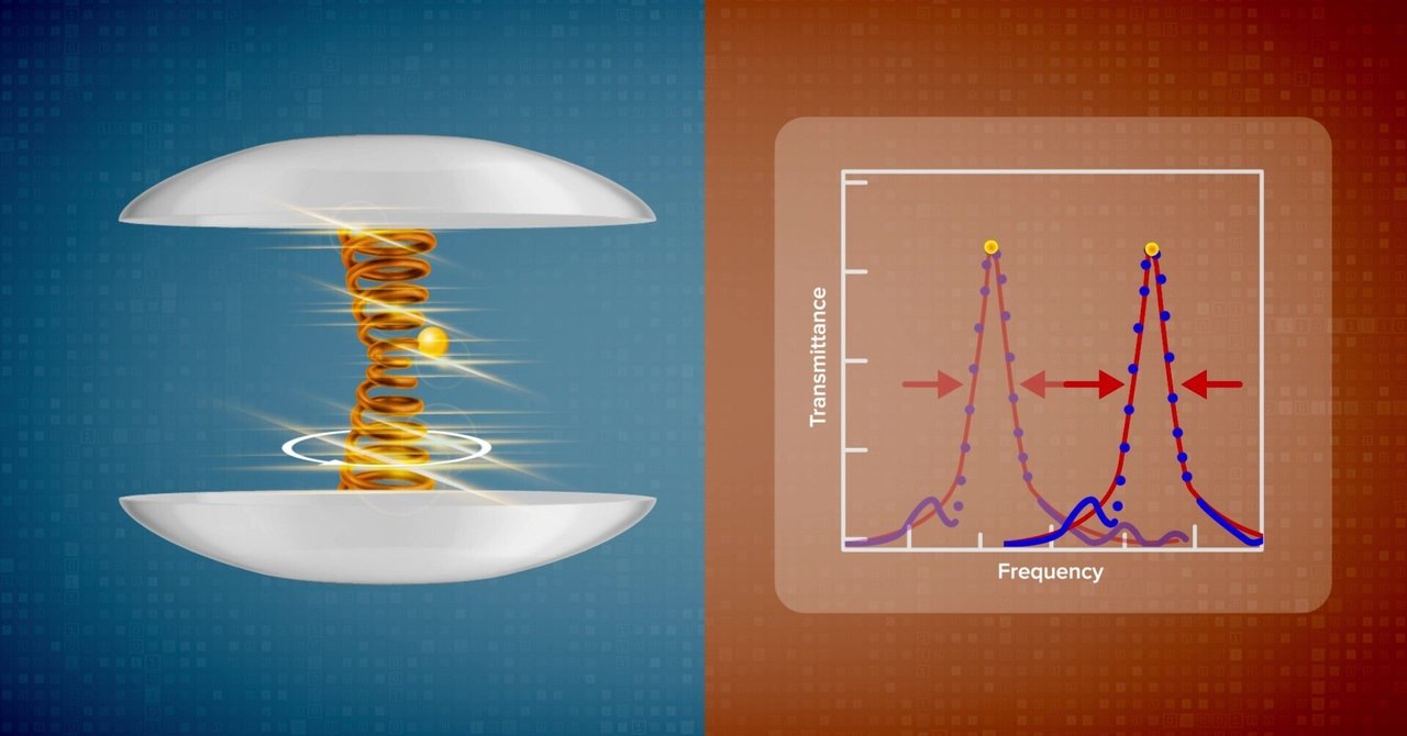 Coupling Light and Matter to Experimentally Observe an Elusive Effect｜光 ...