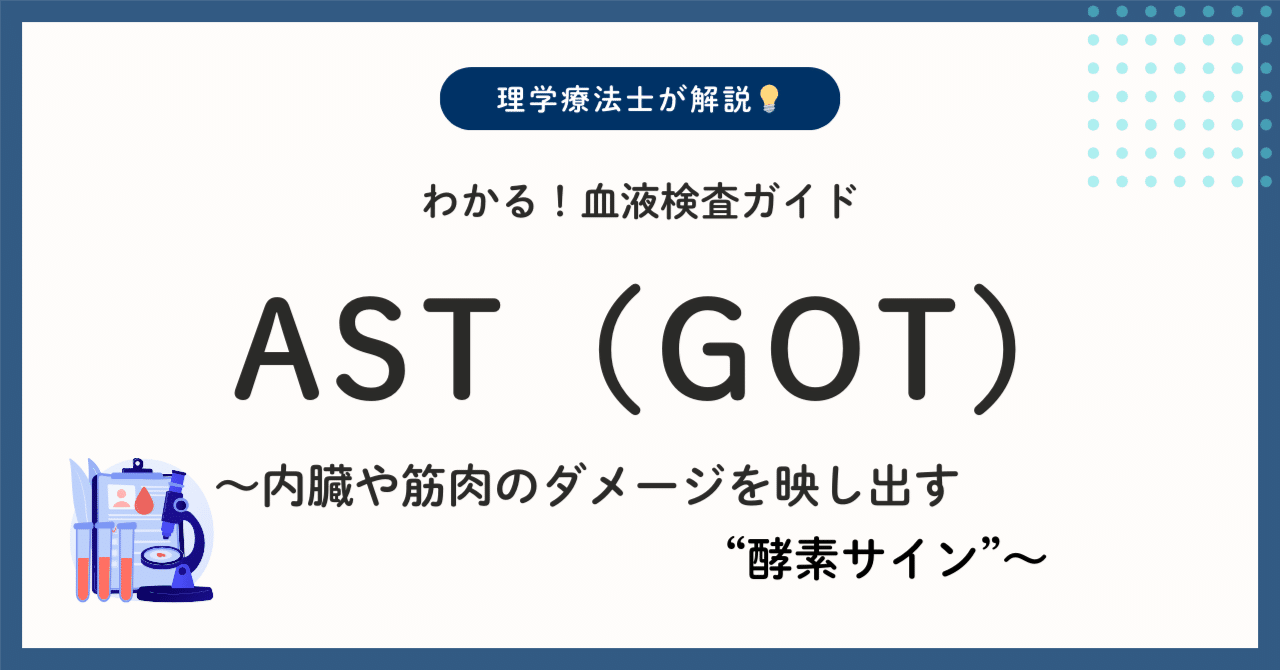 わかる！血液検査ガイド：AST（GOT）の数値徹底解説｜はじめてのカルテ