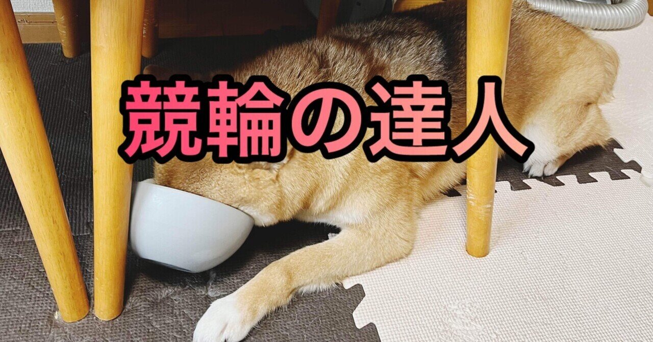 奈良競輪 7R 8R 9R 10R 11R 12R 予想 ️後半戦 準決勝予想！！｜競輪の達人