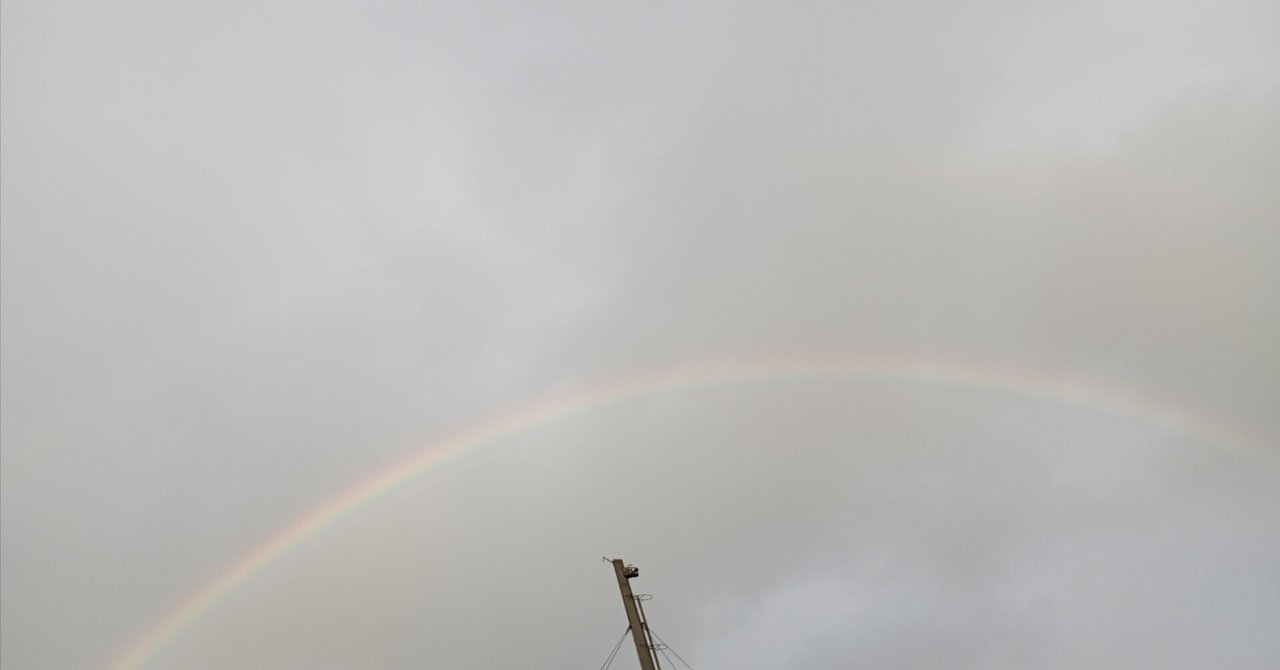 生きとし生けるものすべてに｜ruming