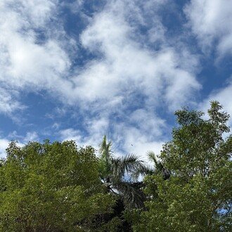 natuのリンク集｜note（ノート）