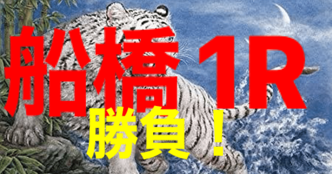 船橋1R勝負！｜パドック師匠【PD master】公式🌐