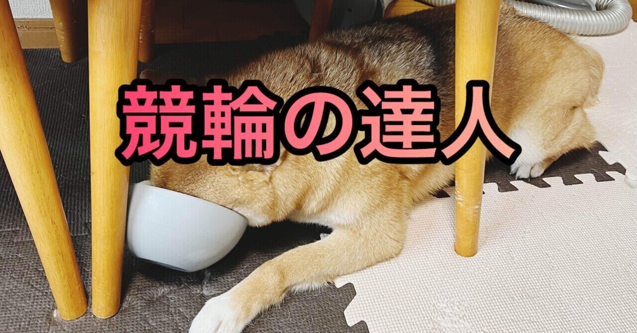 松山競輪 6R 7R 8R 9R 10R 11R 12R S級全レース行きます！｜競輪の達人