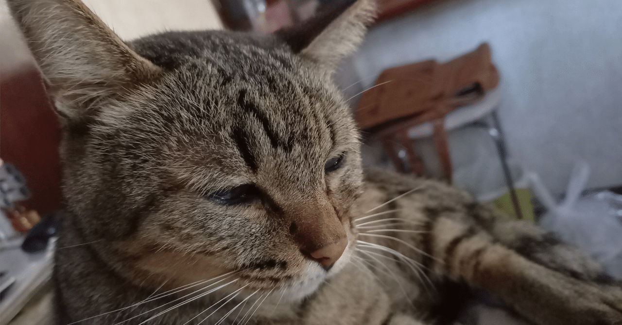 アニメ&特撮魅惑のエンディング曲集vol.1｜Moosan