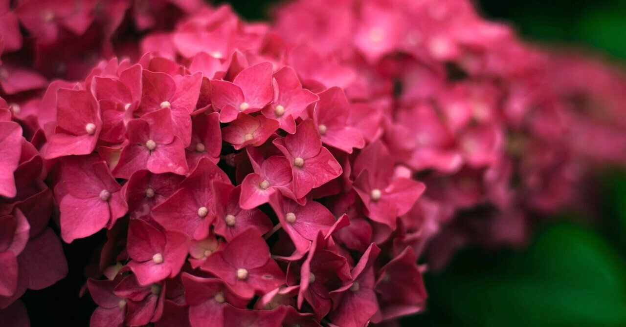 本当に良い人は損をする？｜結婚相談所 Trinity Marriage スタッフ