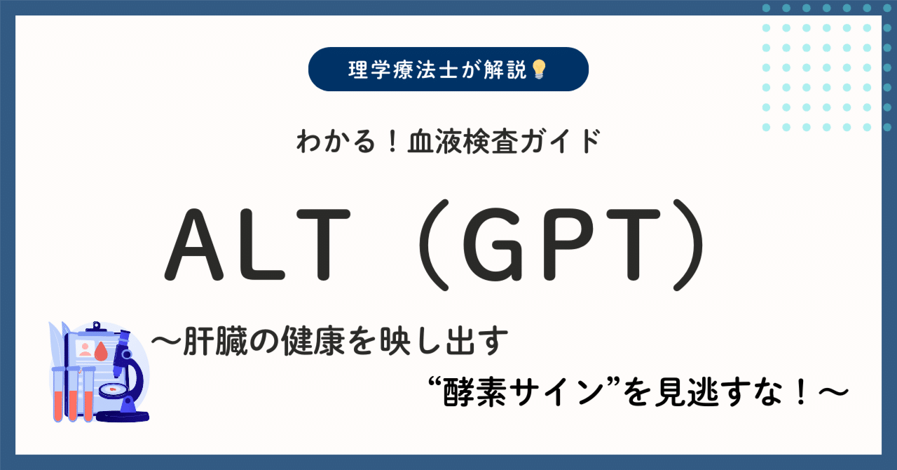 わかる！血液検査ガイド：ALT（GPT）の数値徹底解説｜はじめてのカルテ