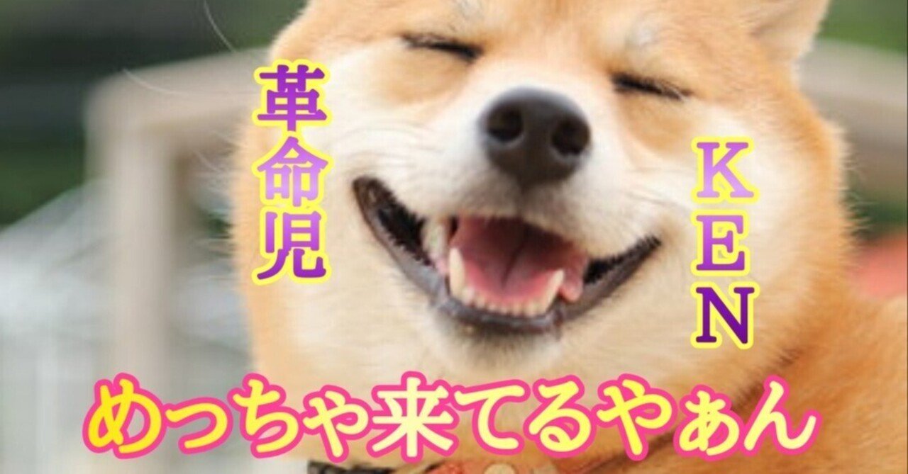 やりましょー🔥🏁山陽ミッドナイト🏁優勝戦🏁全レース🏁🔥本気予想🔥🌸2月11日🌸｜【革命児】👑ken👑【オートレース予想】