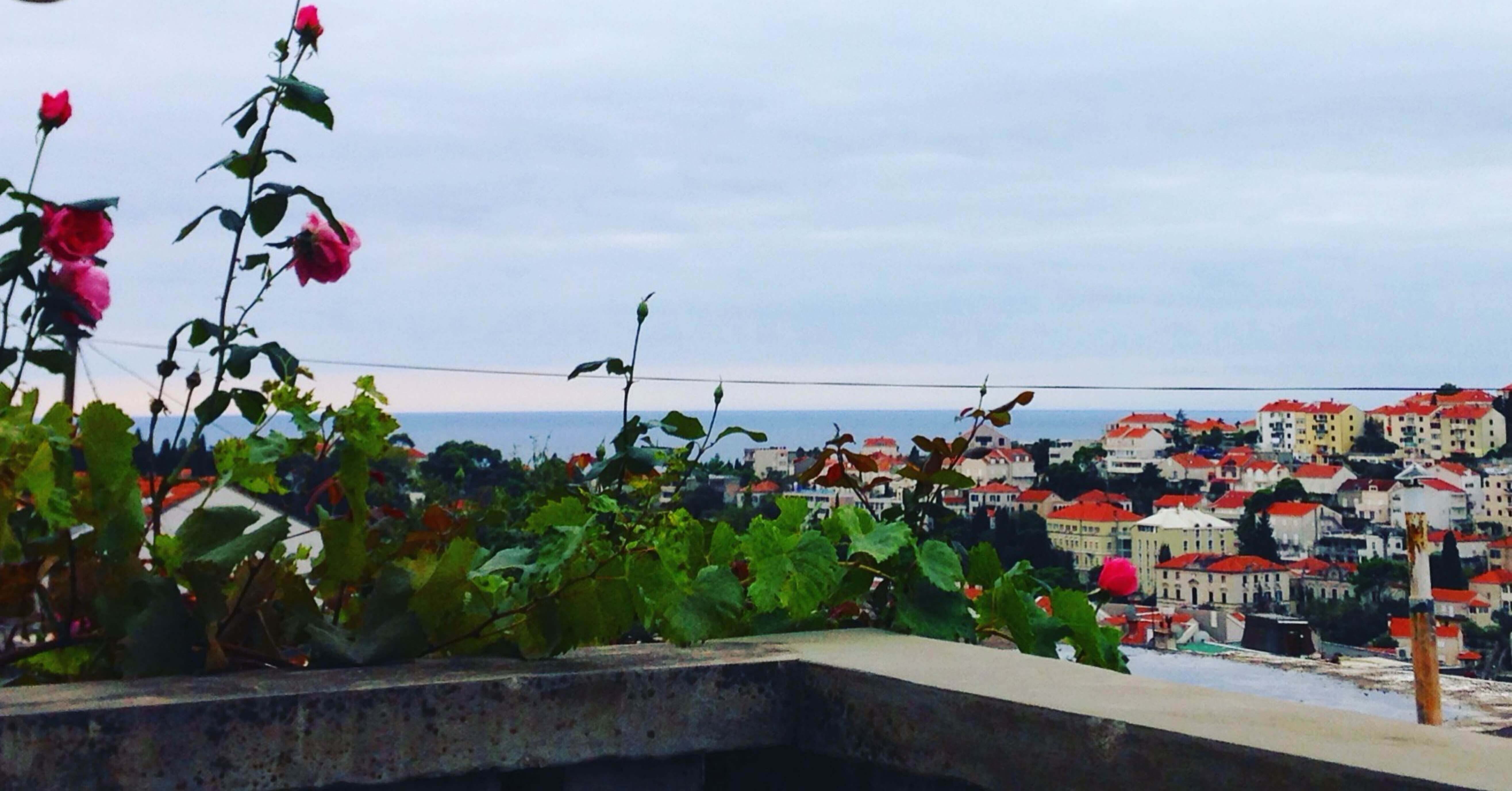 everyday_debu｜note